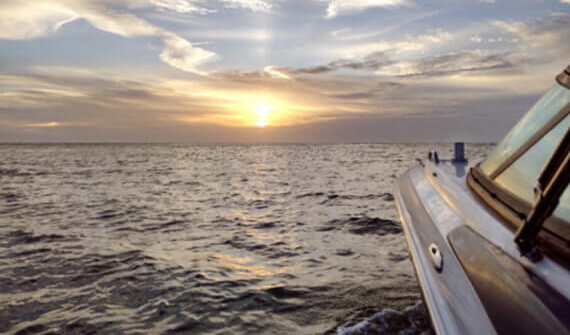 Home Page - Flying Pelican Tours